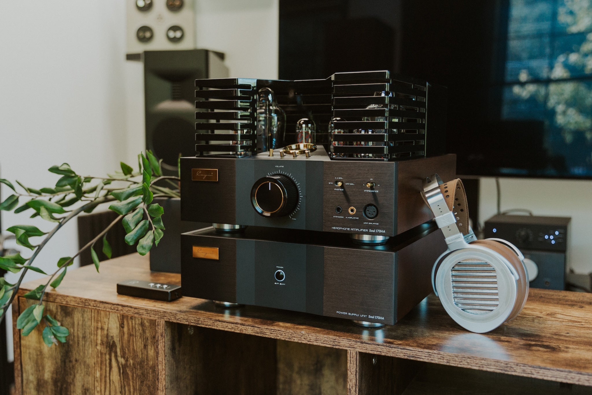 Put a Little Soul in Your Music: Cayin Soul HA-170 Review | Bloom Audio