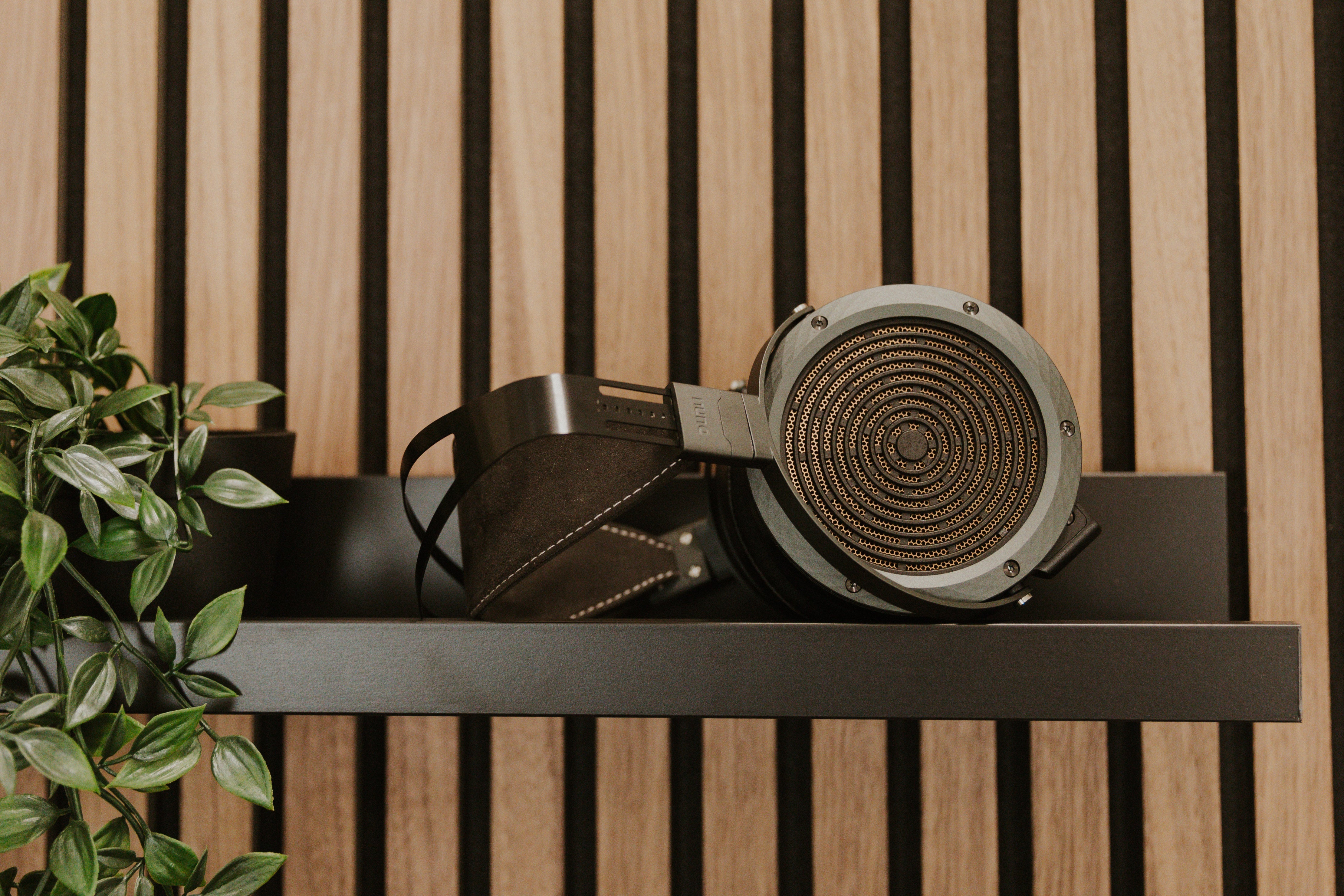 Planar Magnetic Paradox | DUNU Arashi Review – Bloom Audio