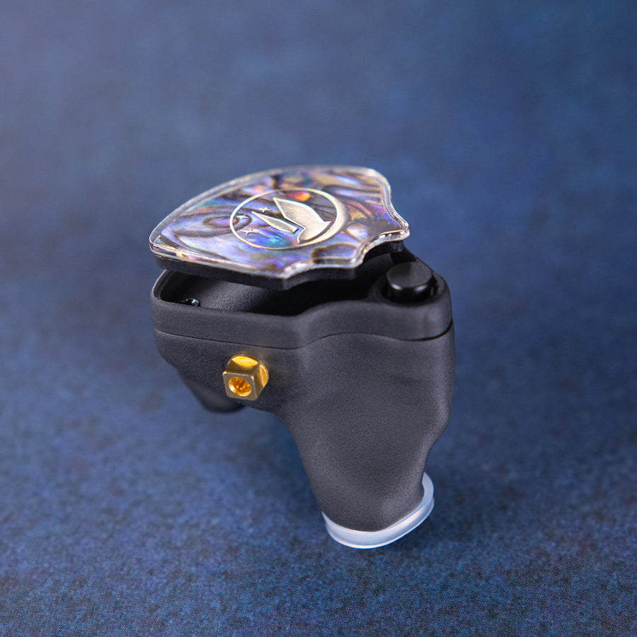 Custom IEMs | Bloom Audio